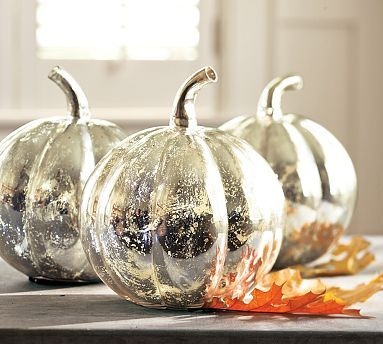 metallic pumpkins - A Bird and a Bean