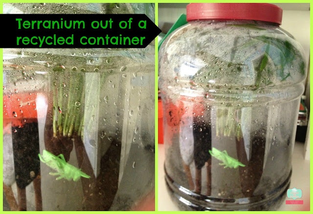Earth Day Project Round Up