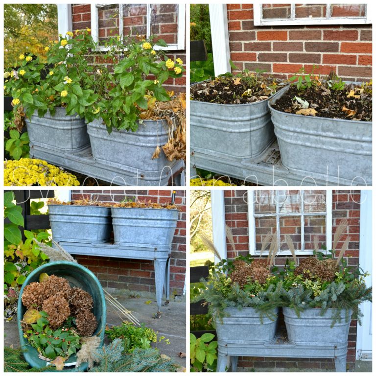 Winter Displays in Summer Containers