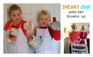 The Sneaky Chef {Giveaway}