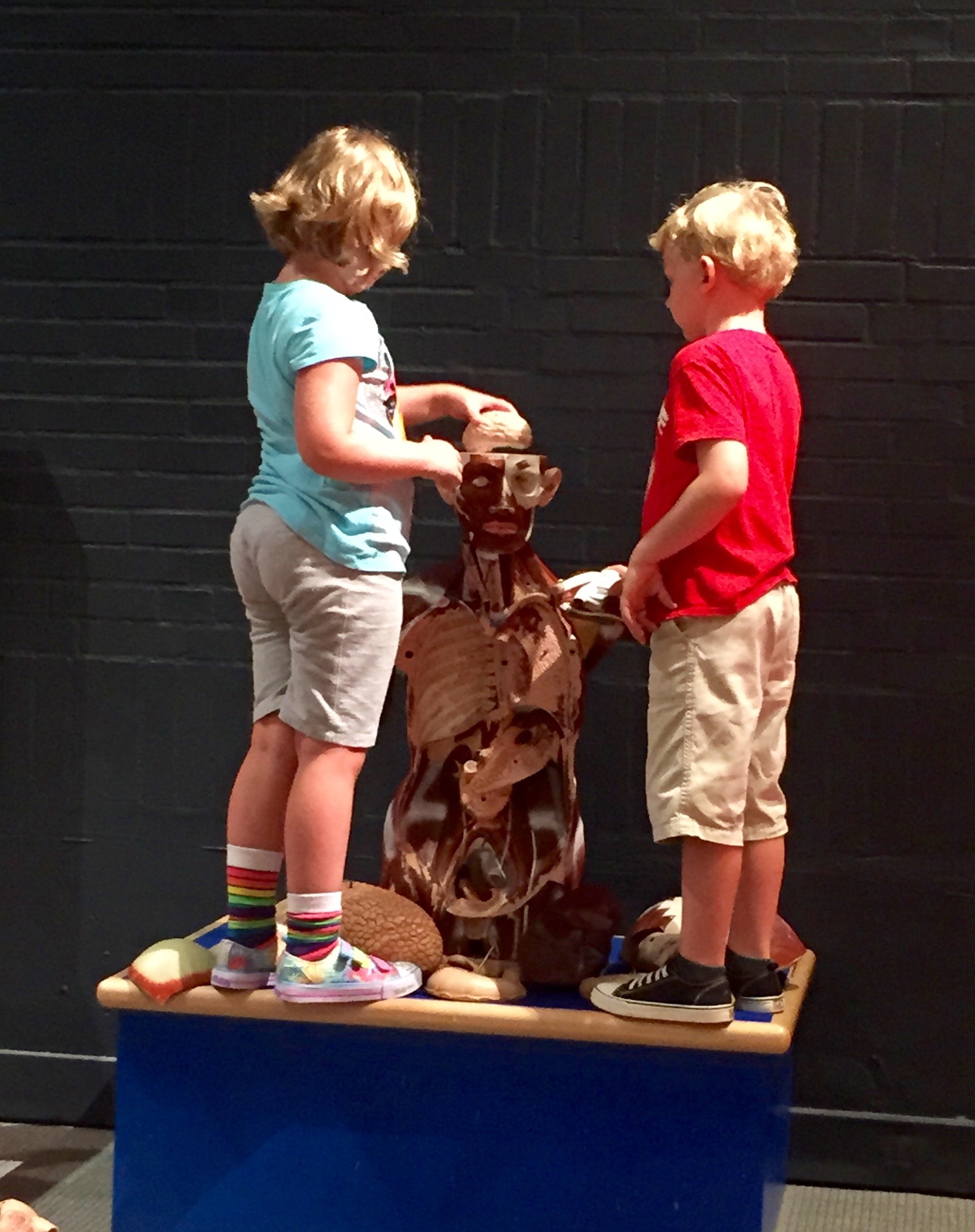 The Science of Sports Exhibit at The Cincinnati Museum Center - A Bird ...